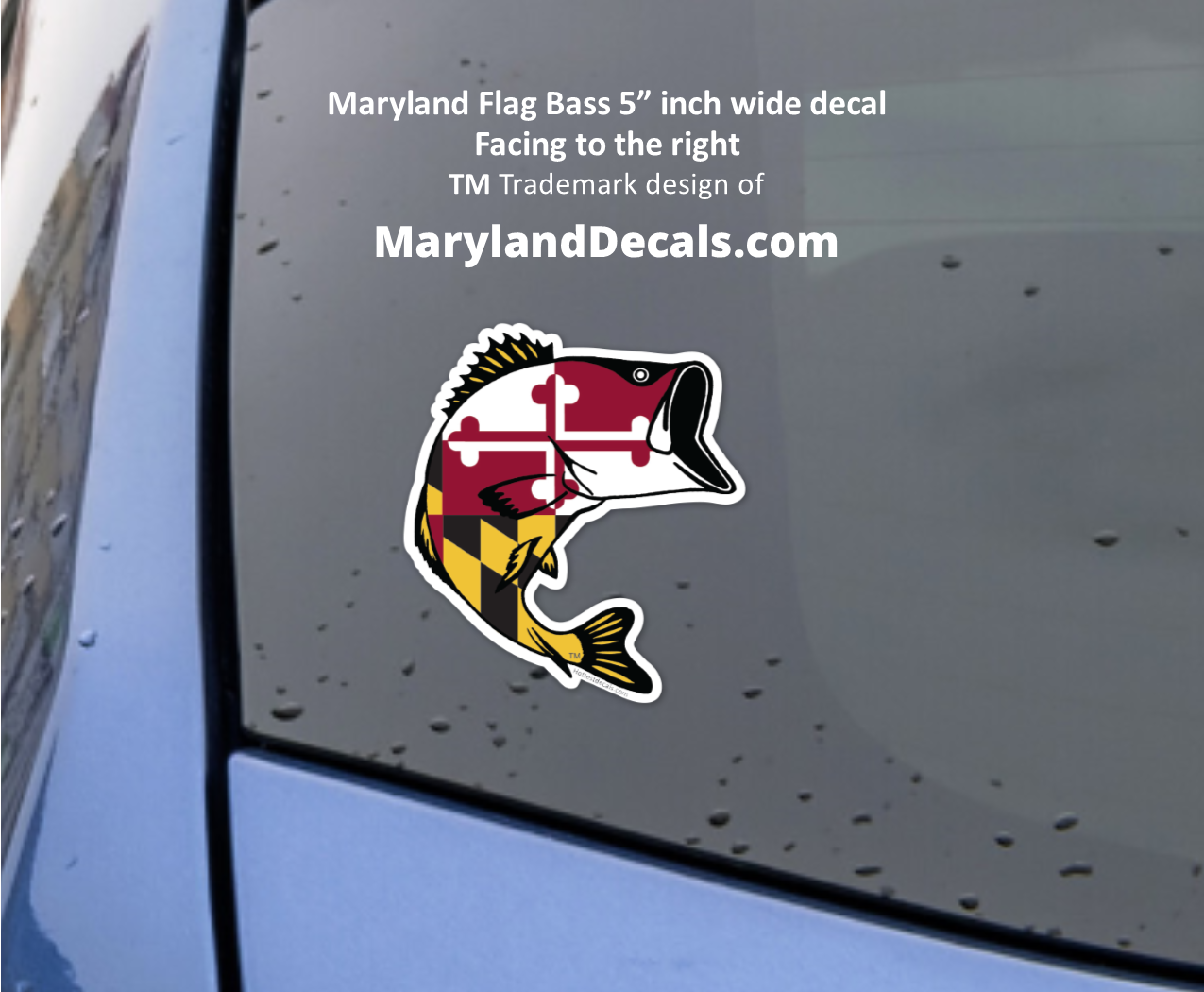 MARYLAND Fish Decal - Maryland Decals Stickers Magnets Hats