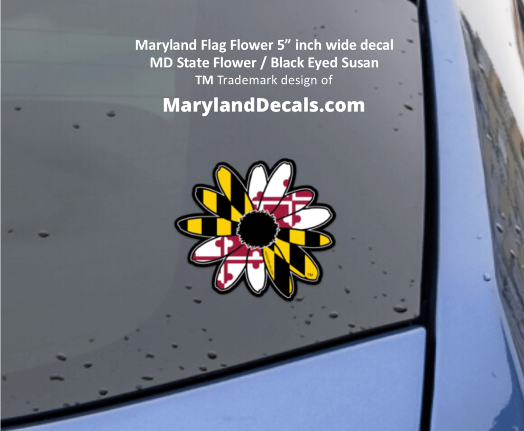 Maryland State Flower Decal